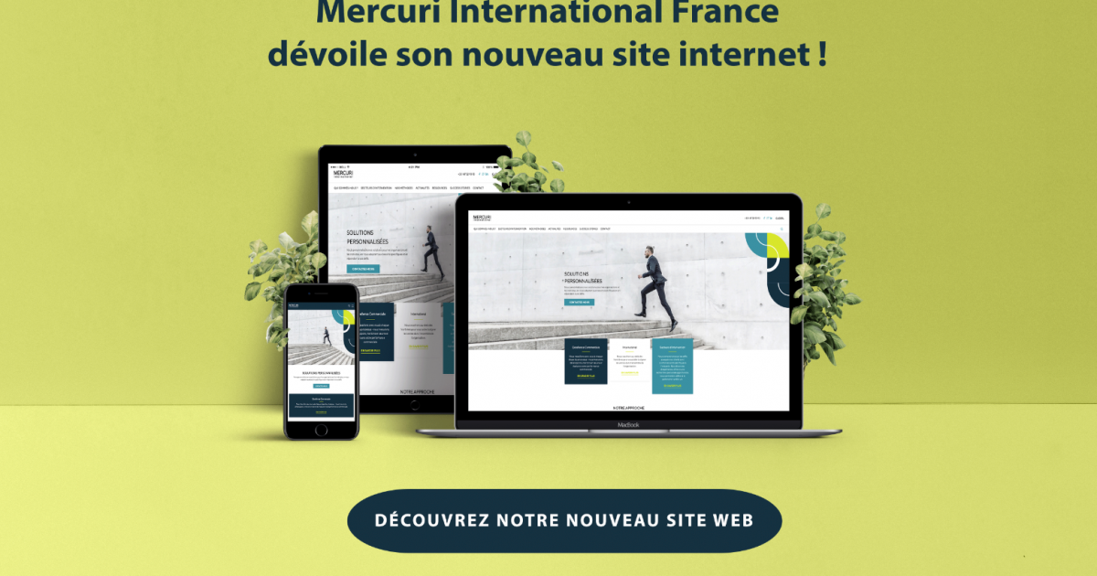 Mercuri International France - Conseil & Formation en efficacité ...